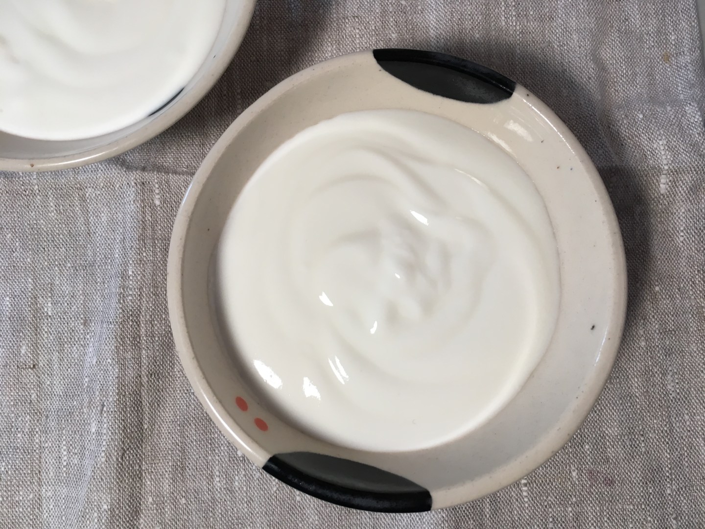 Homemade Yogurt – Chez Nous