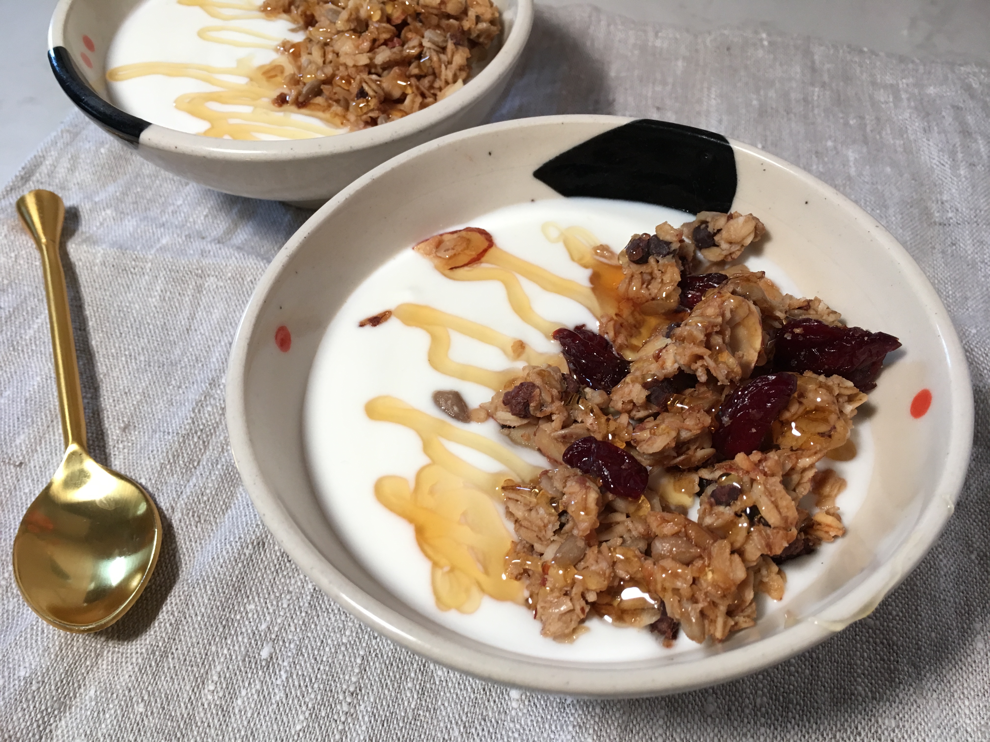 Homemade Yogurt – Chez Nous